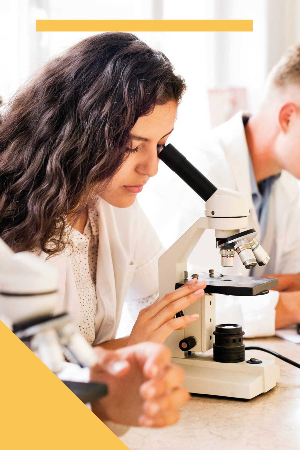 Lorenzo de' Medici - The Italian International Institute